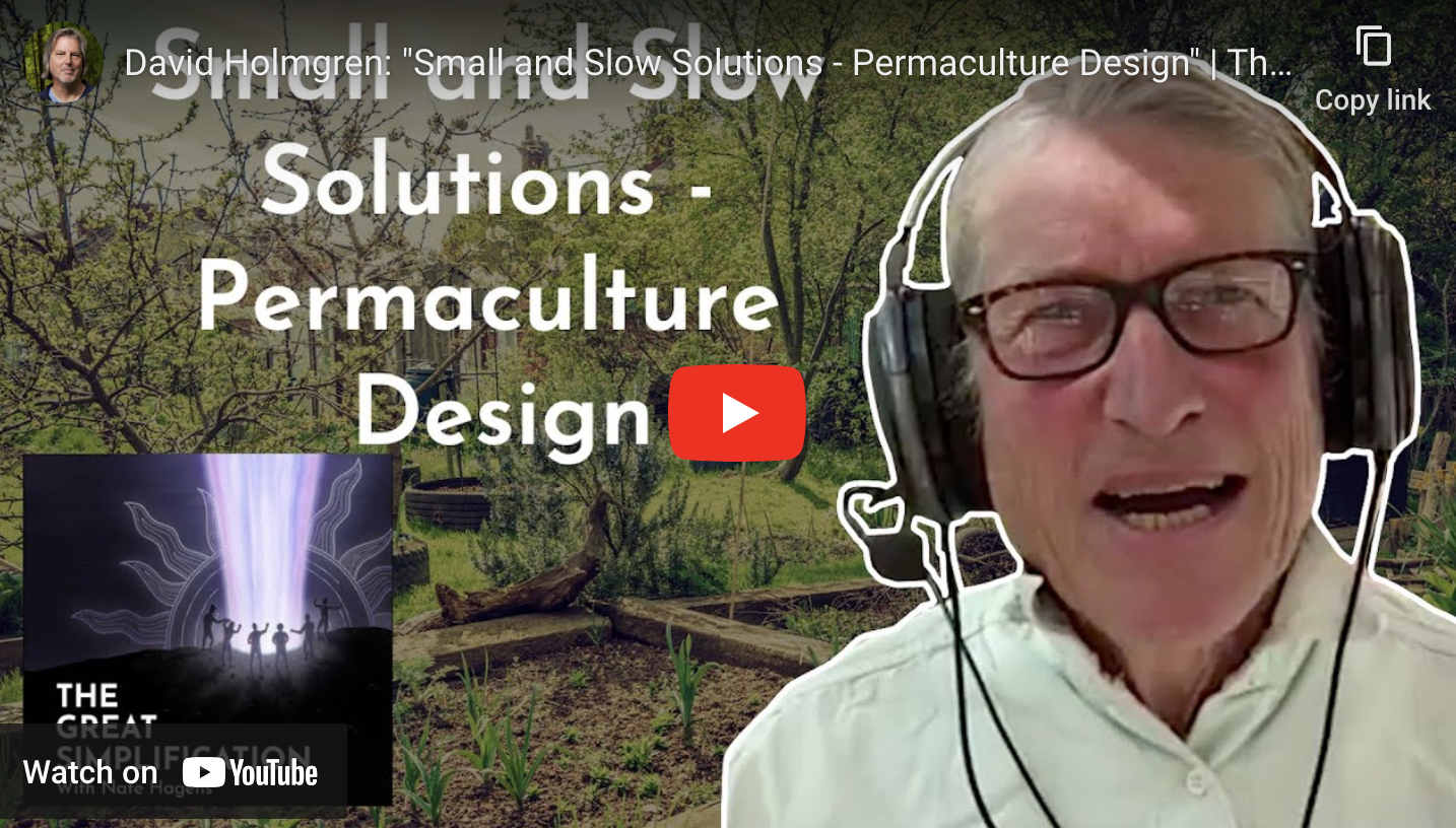 The Great Simplification with Nate Hagens and David Holmgren - podcast ...